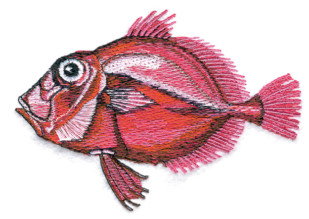 Red Dory - Learn to Digitize